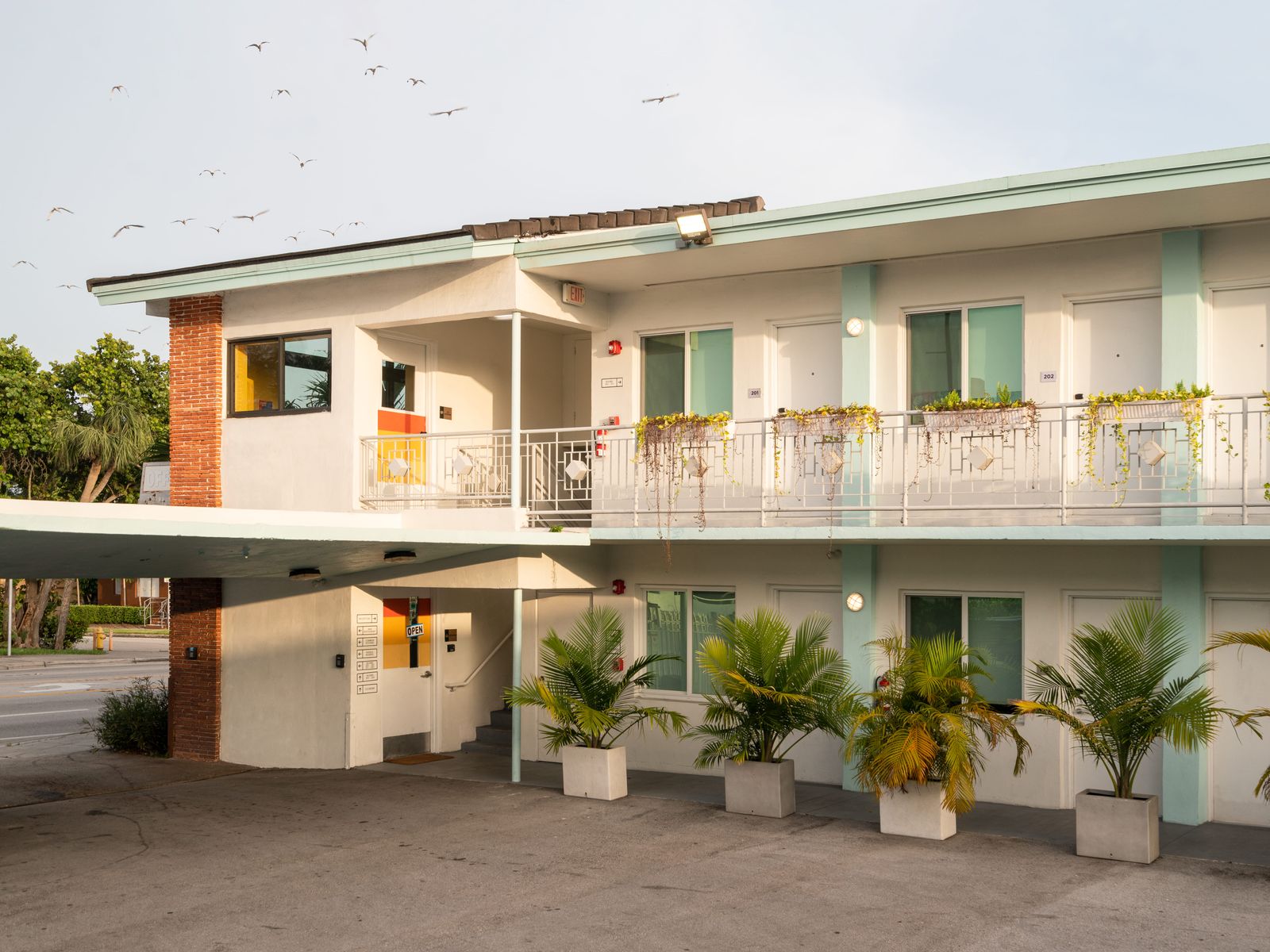 A Taste of Milan in Miami: Alcova Joins Miami Art Week