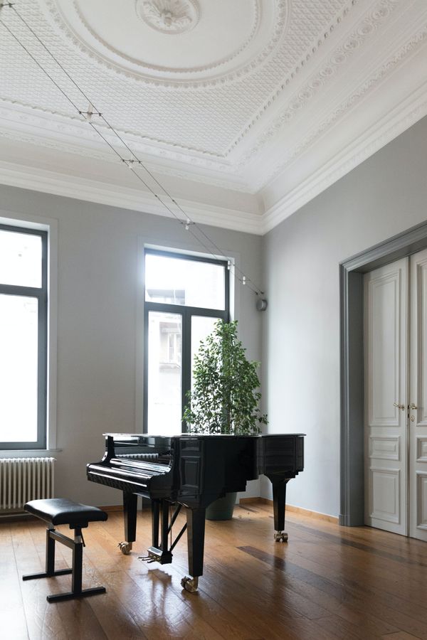 Decorative Wall Molding and Trim Ideas to Elevate Your Space