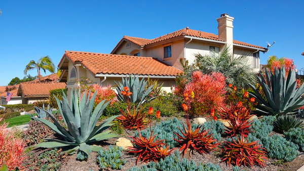 10 Best Landscape Design Software Options for Garden Design