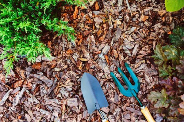 Awesome Landscaping Ideas For Your Outdoor Space